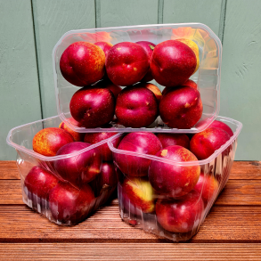 Produktkatalog - Torvegrønt.dk