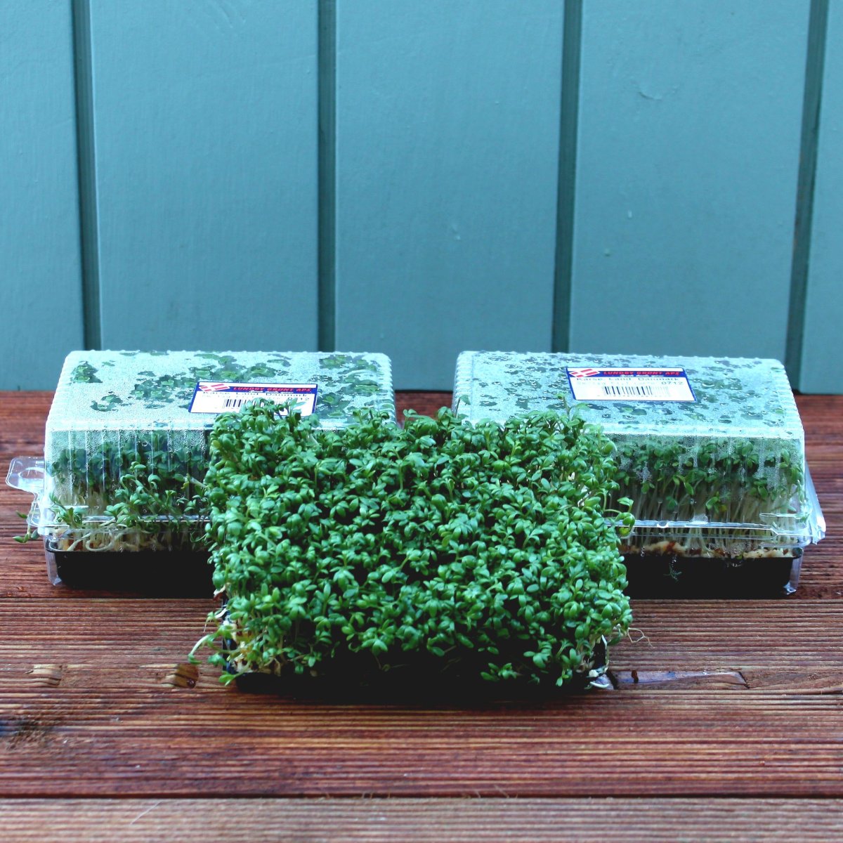 Karse, bakke - Grønt - Torvegrønt.dk