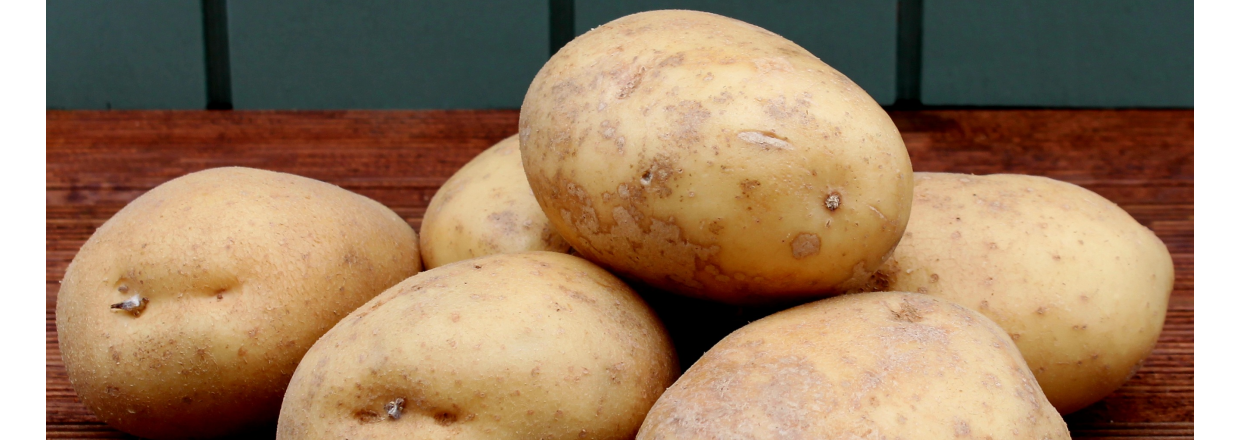 Frugt - Torvegrønt.dk