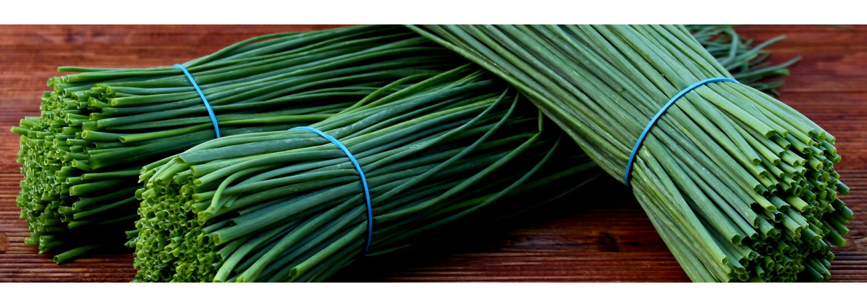Frugt - Torvegrønt.dk