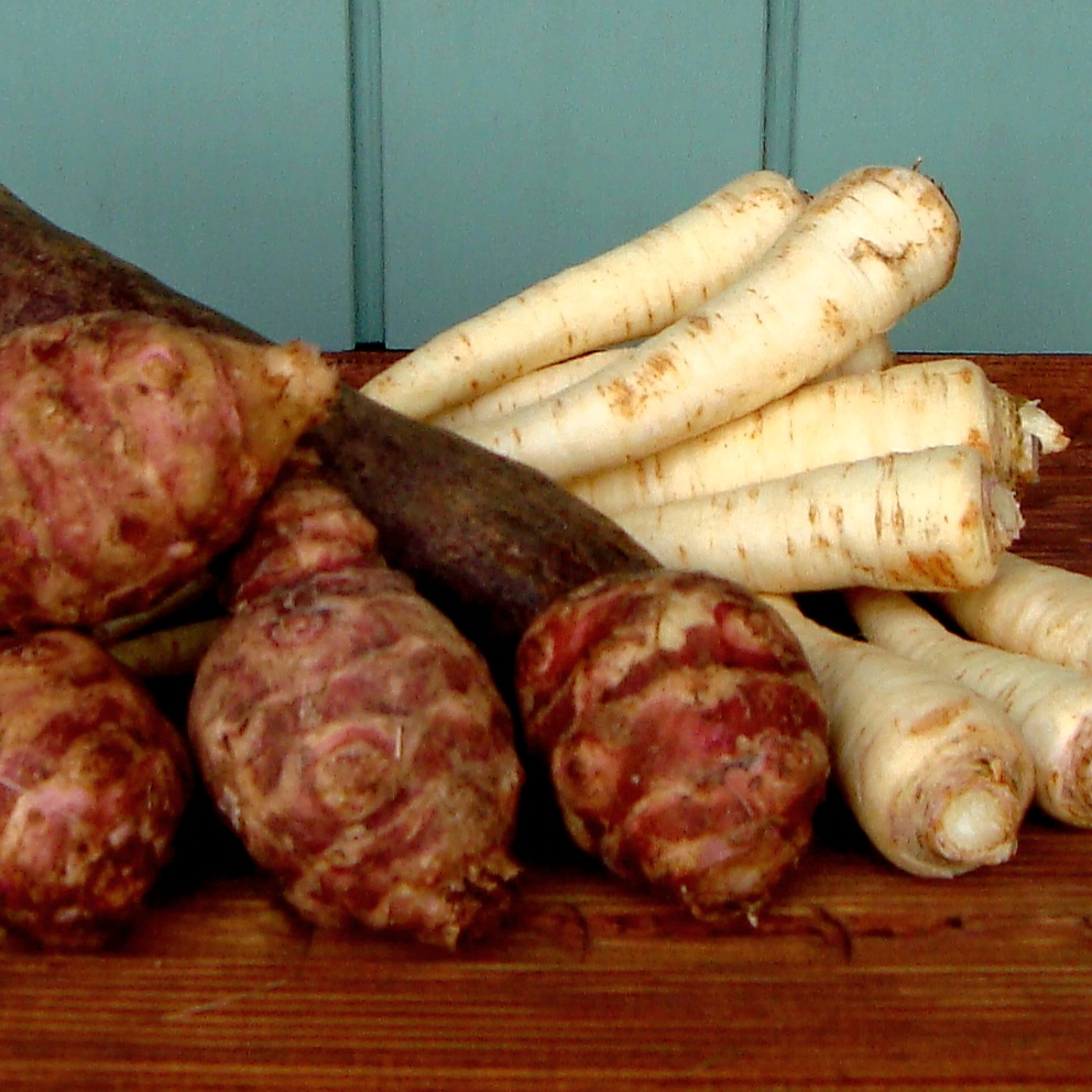 Rodfrugter - Torvegrønt.dk