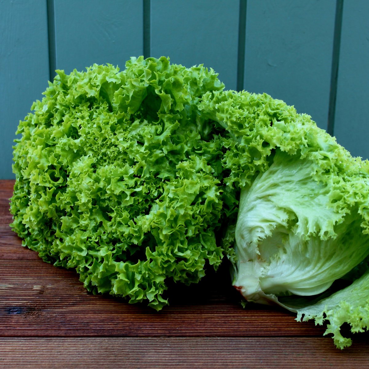 Lollo bionda, stk - Salat - Torvegrønt.dk