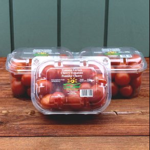 Tomater - Torvegrønt.dk