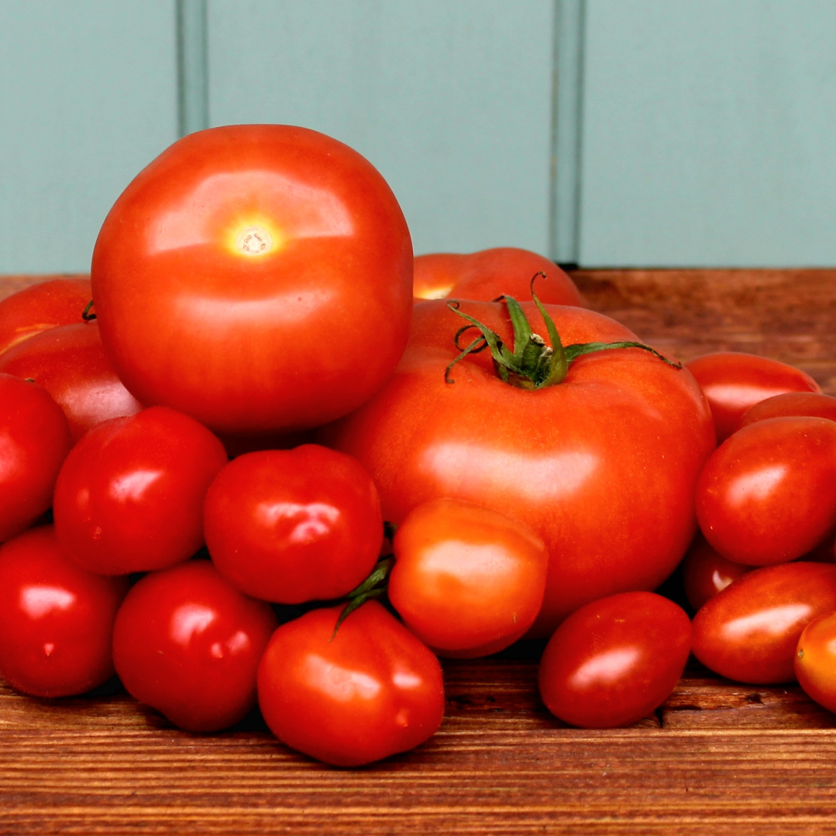 Tomater - Torvegrønt.dk